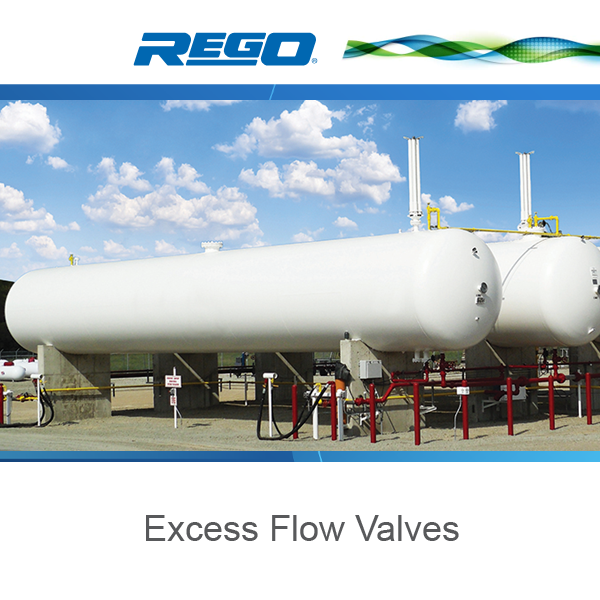 RegO® LPG Webinars – RegO Products – Asia